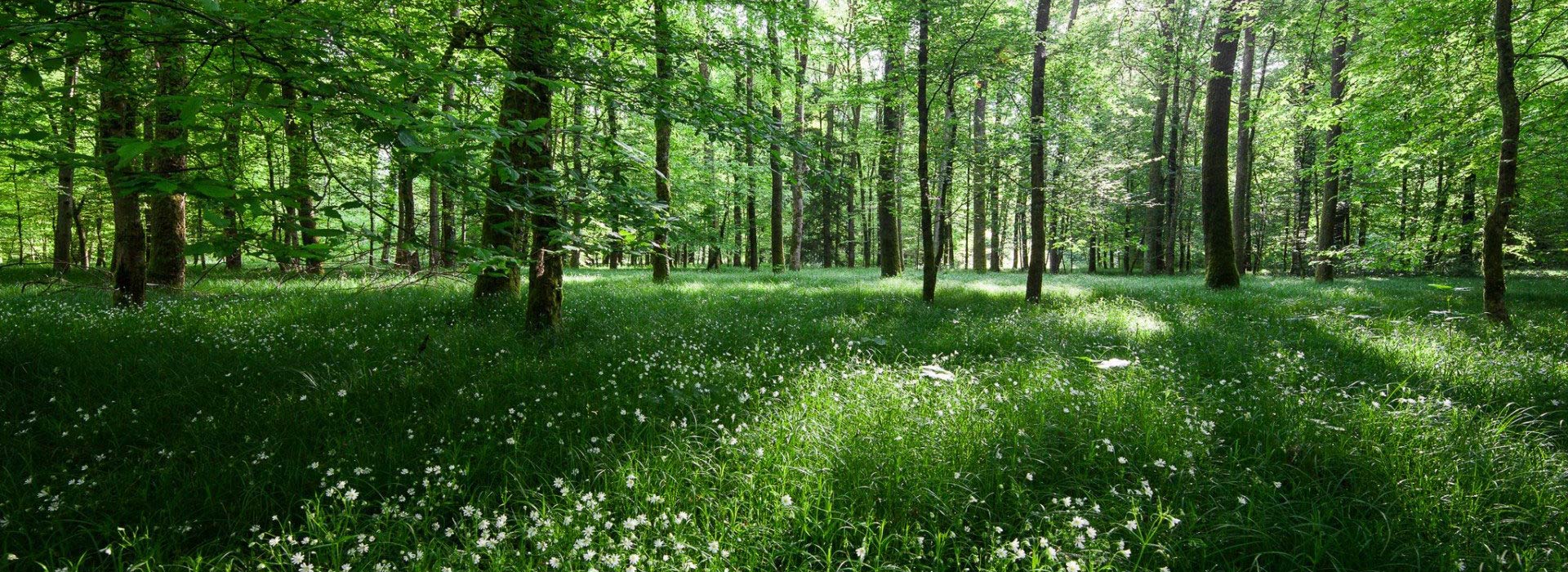 Bienvenid@s a Konducta.